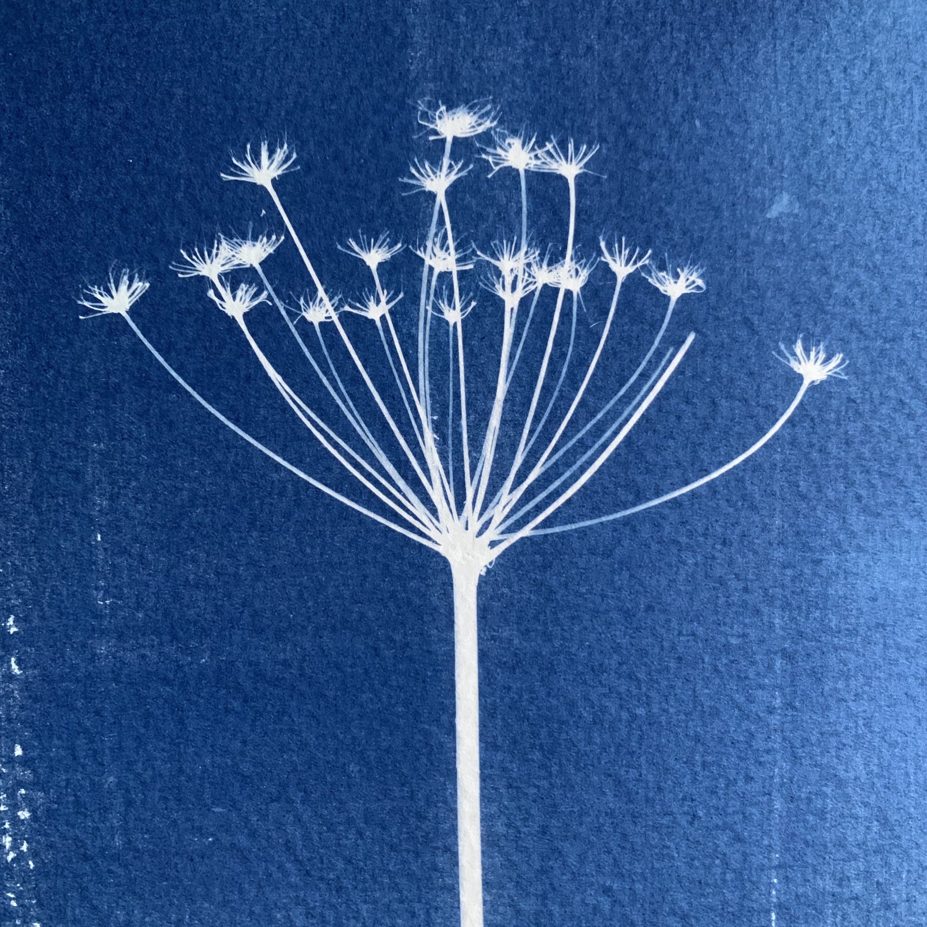 Everything – Danielle East ART